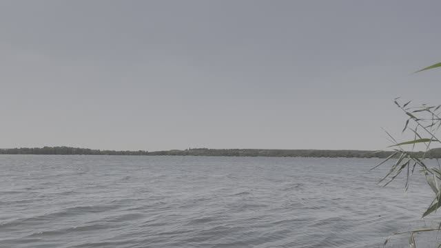 г. Счастье водоохладительный канал 2025 07 29_4K HDR10PLUS