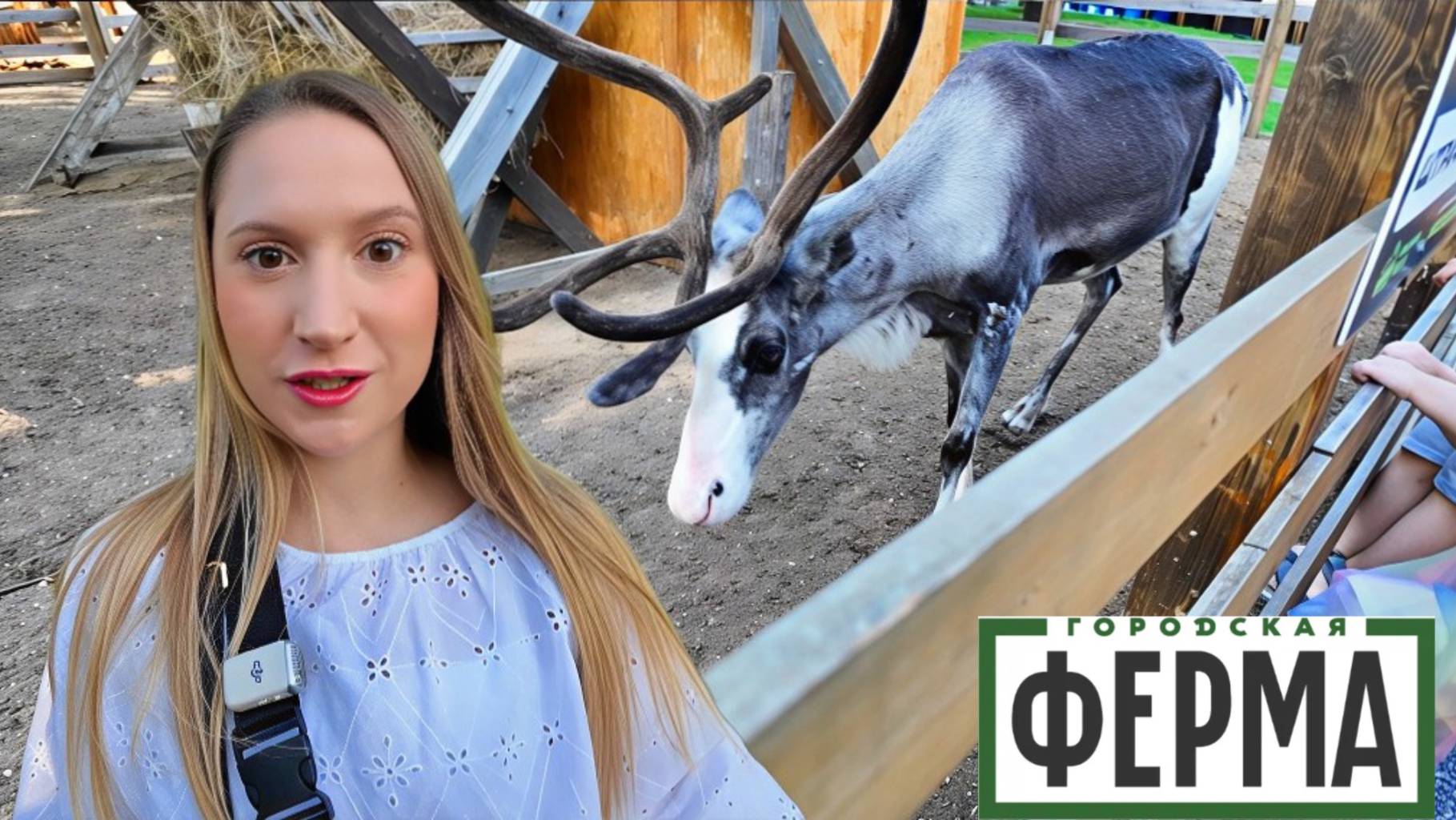 Городская ферма на ВДНХ : Семейный парк интерактивного фермерства и ремёсел