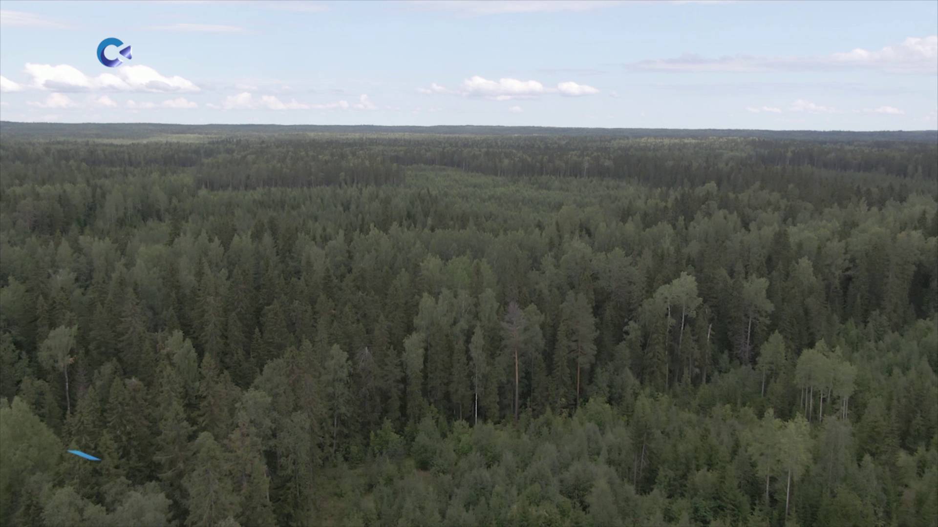27 лесных пожаров на общей площади 302 гектара зафиксировано в Карелии
