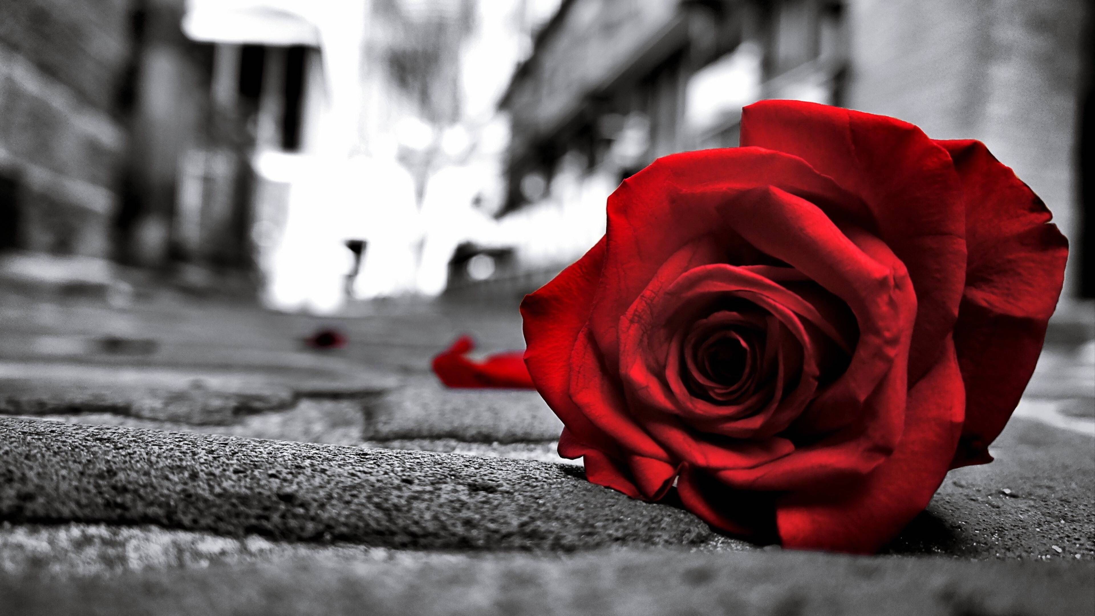 Безусловная любовь.