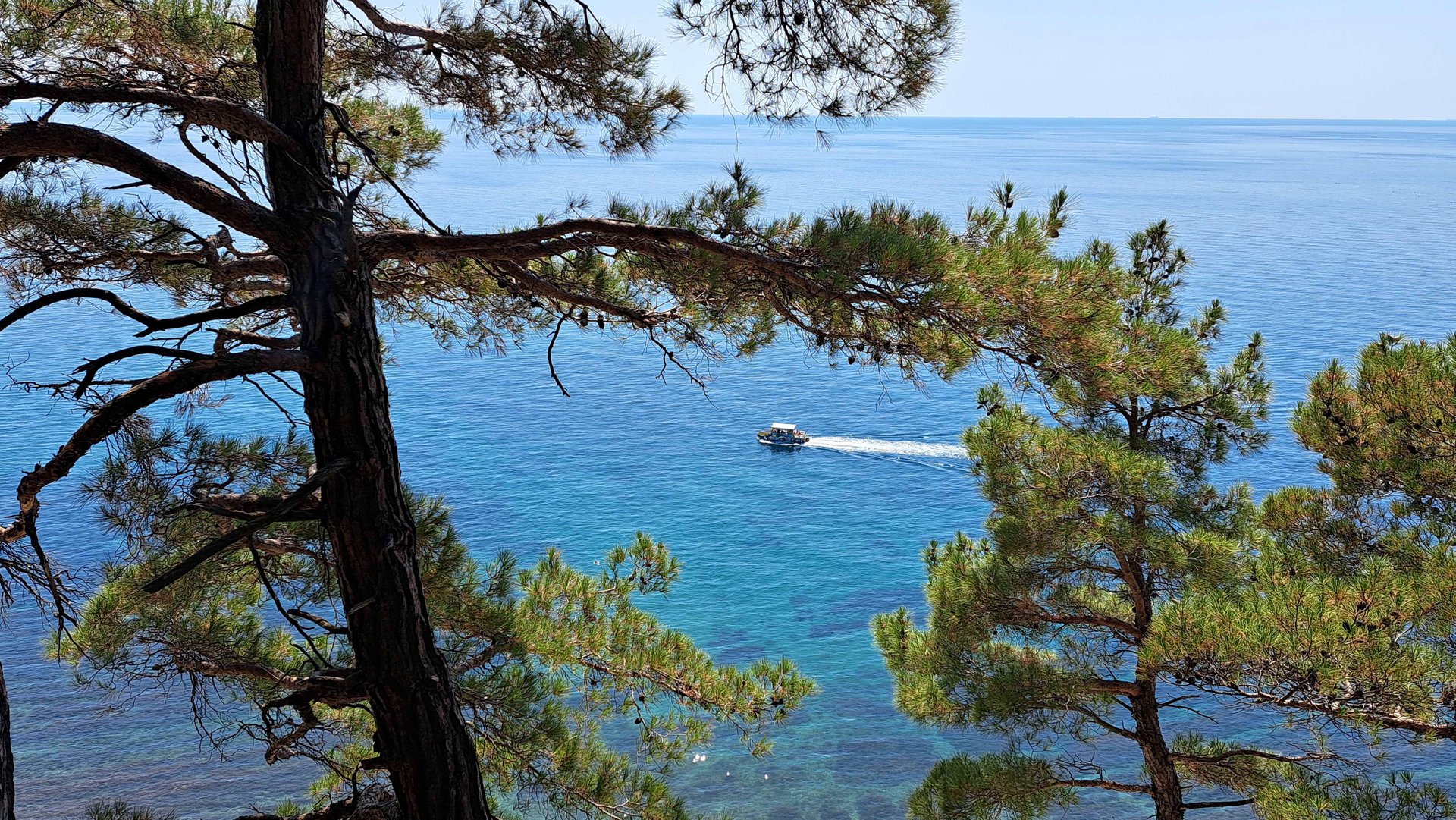 Роща пицундской сосны и Голубая бездна (Геленджикский район)