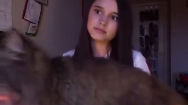 Вот тут ты неправильно поёшь, хозяйка.