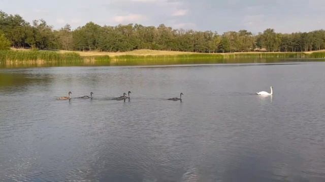 Анадоль.Рыбалка 27-28 июля 2025г.