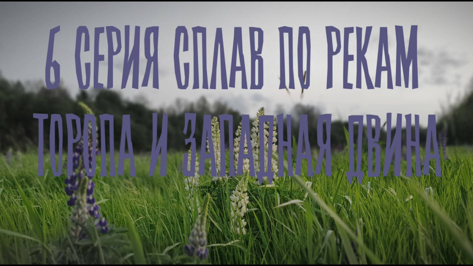 6 серия Торопа и Западная Двина