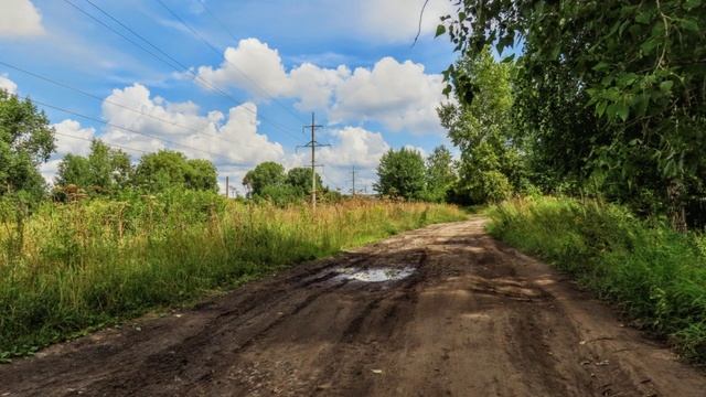 Утята и вокруг оз Красного. Заглянула на Томь.