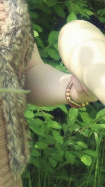 Ягода - Медведица cover (кода на вистле) #shorts