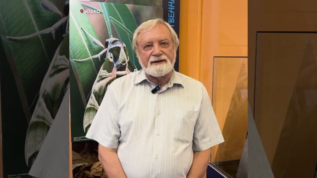 Природная красота: в Дарвиновском музее открылась выставка «На крыльях бабочки»