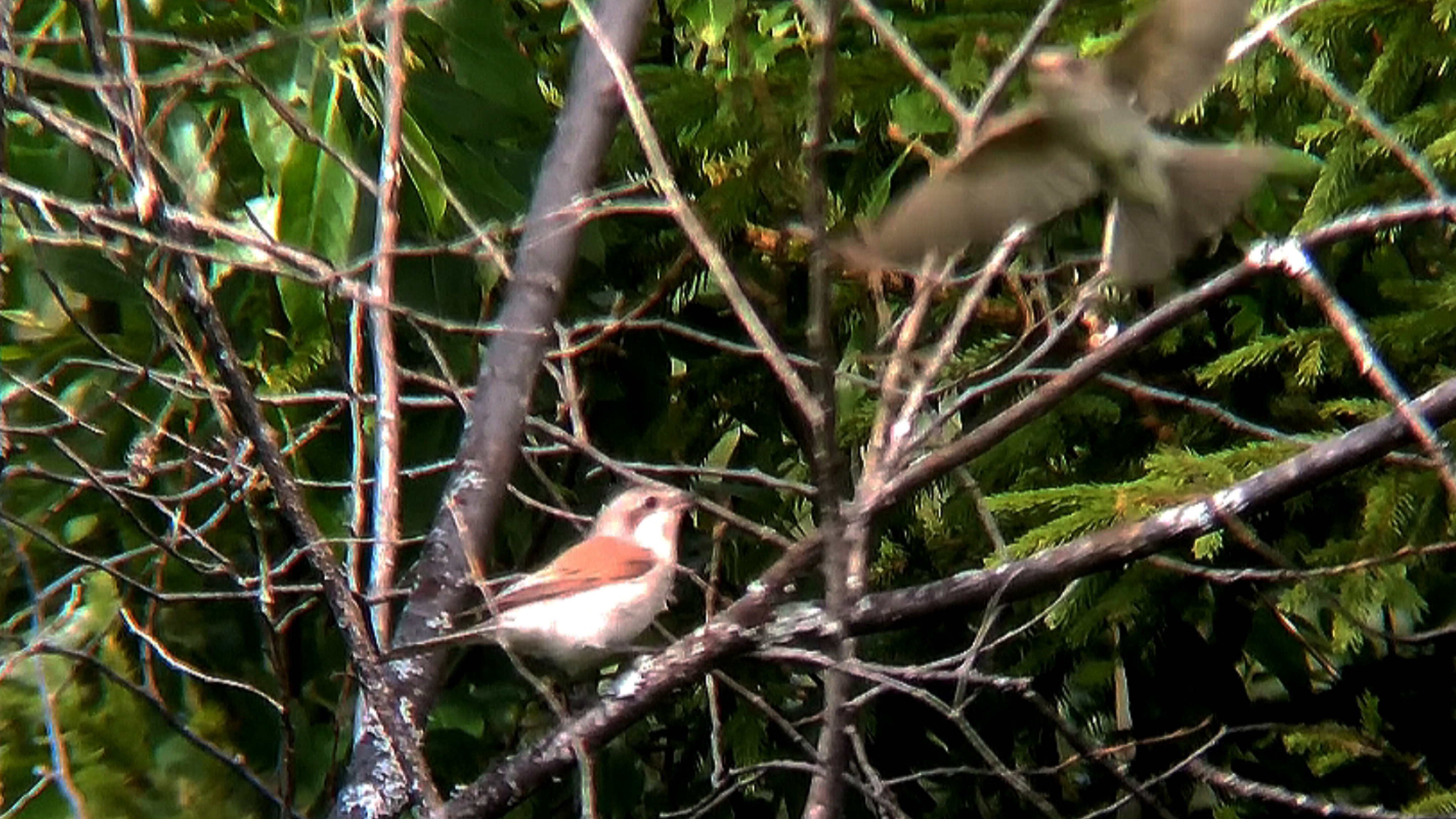Отстань, я всё съел 😃