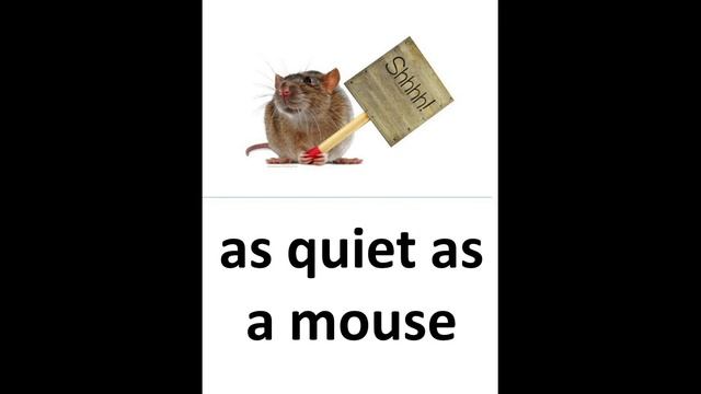 Английский 5 класс SPOTLIGHT_слова к модулю 4 ч 2