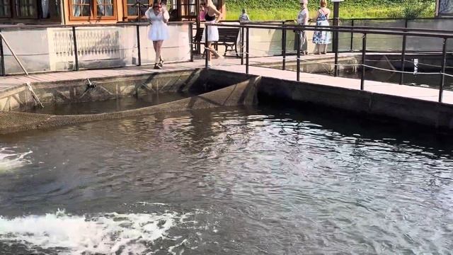 Ловим рыбу. Часть 2