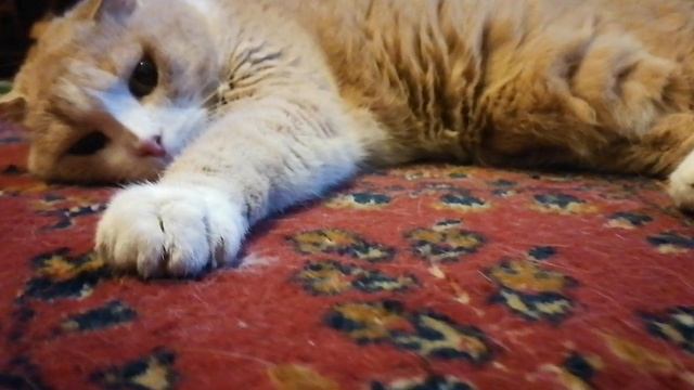 Томас утомился