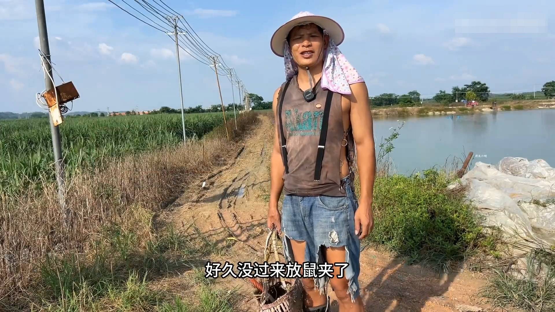 Сяо Хэ из Цяотоу - Молодой человек поймал 4 полевые мыши, это выгоднее чем продавать фрукты