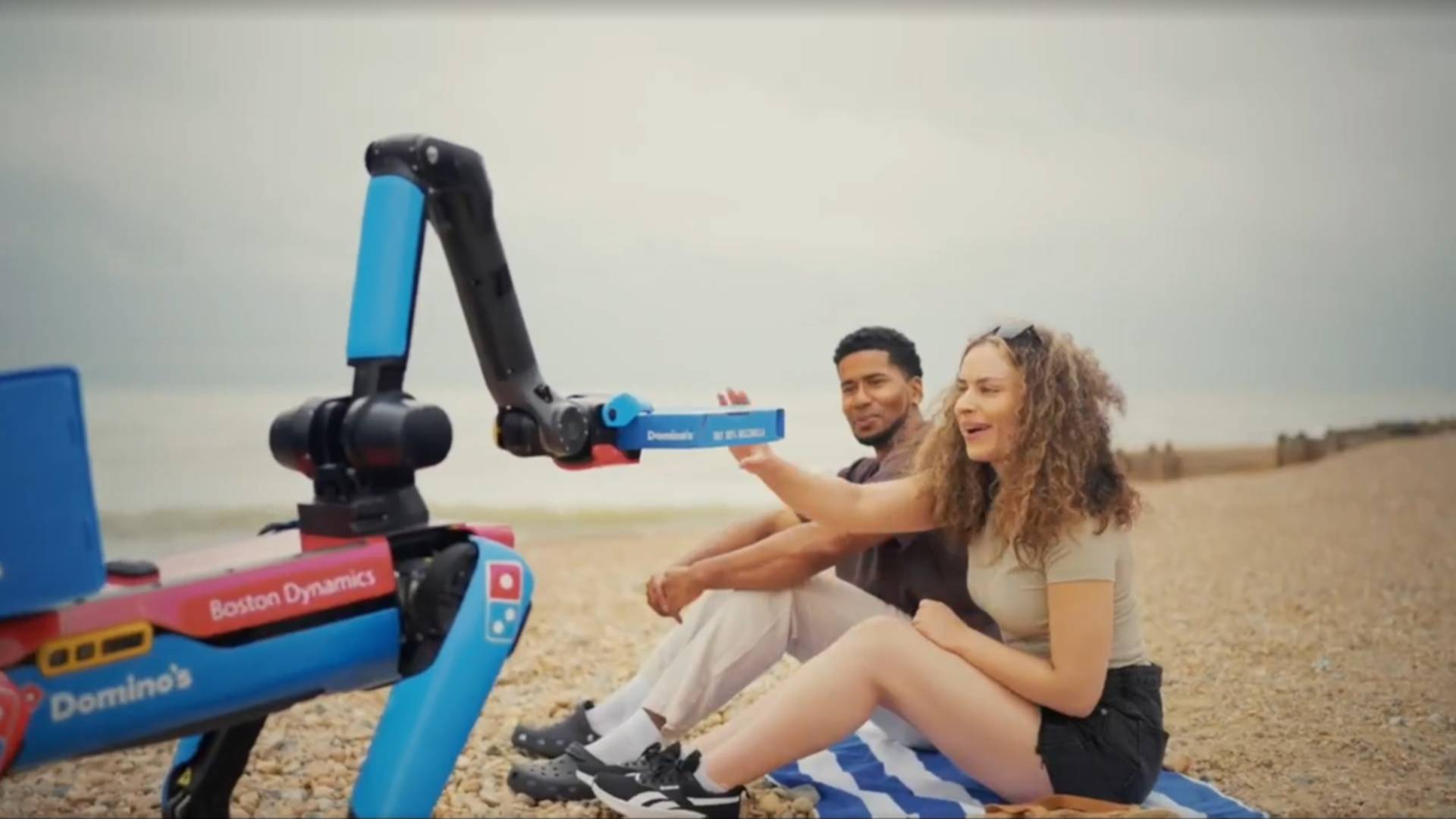 Domidog — четвероногий доставщик пиццы