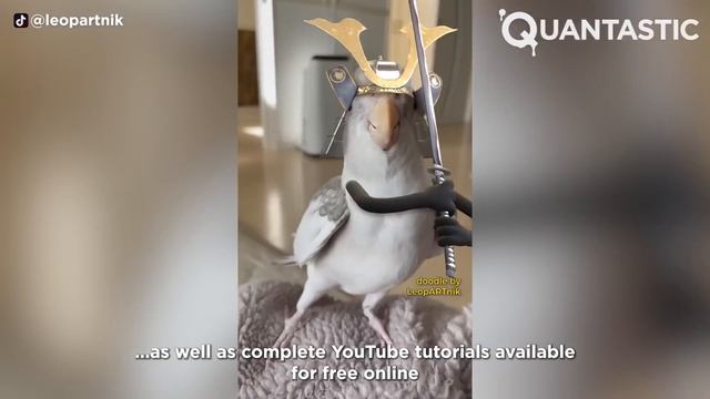 На тему птичьи фантазии 2.