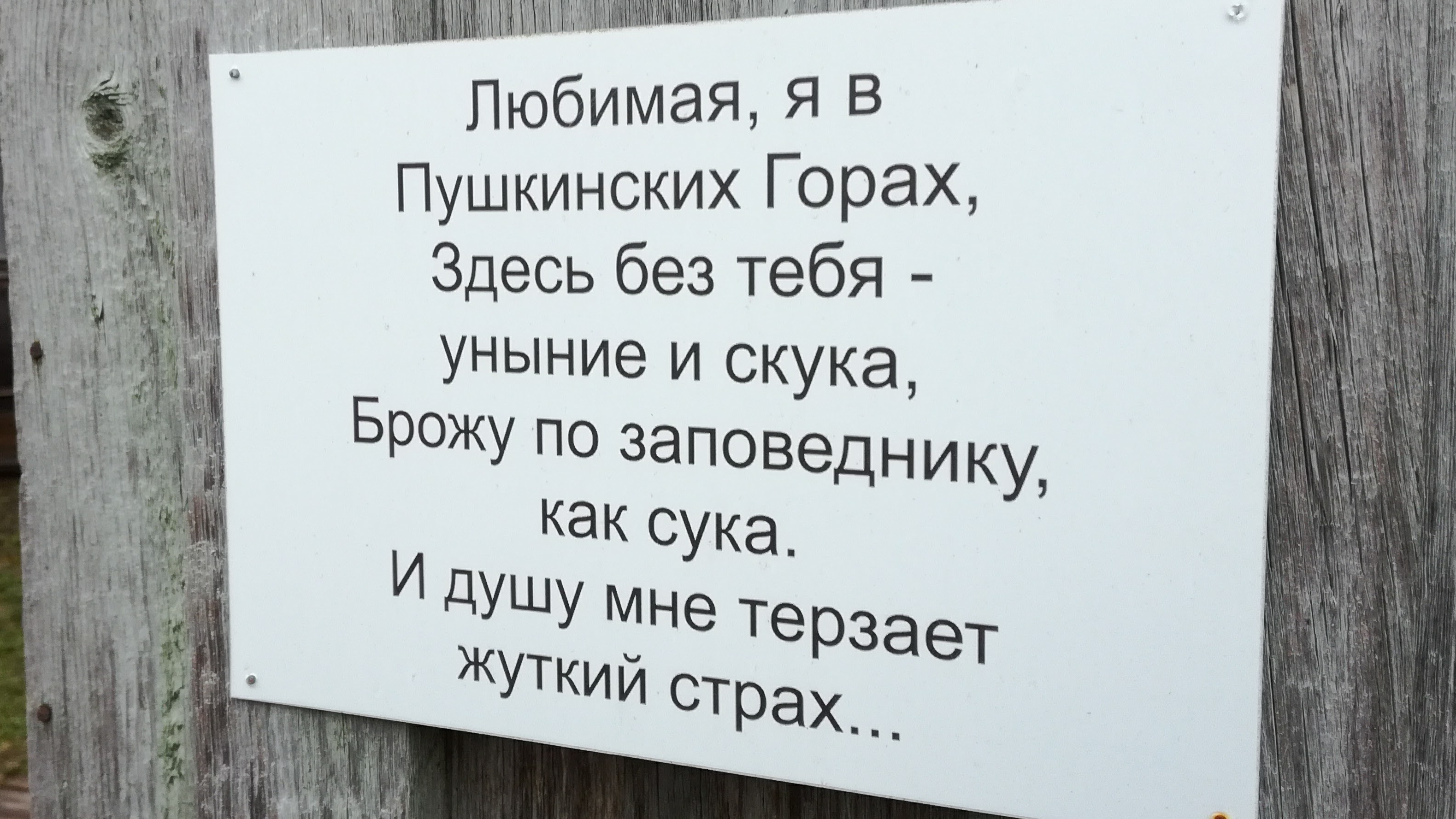 Дом Довлатова