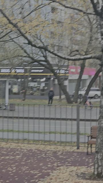 Обзор двора.  Москва, Алтайская ул., 26