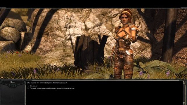 Divinity II: Developer's Cut: Лагерь разбойников, серия 6