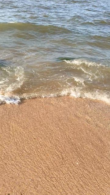 Азовское море ⛵