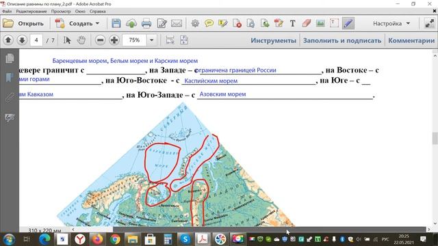 Восточно Европейская равнина. Описание по плану.