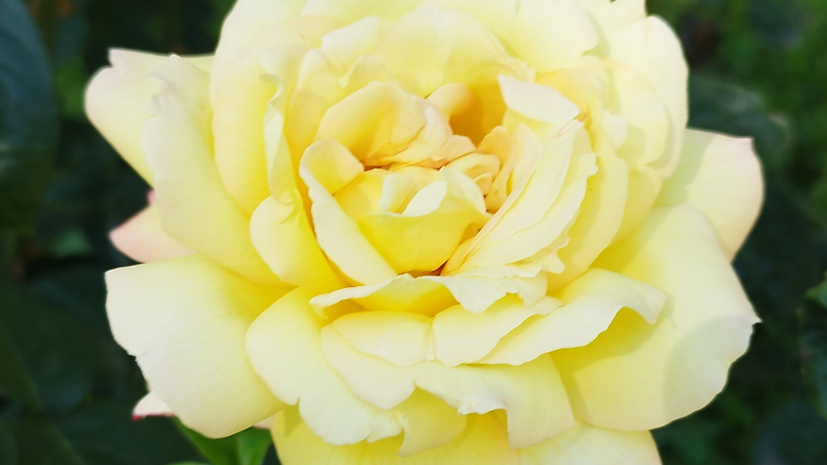 ОБНИМАТЕЛЬНАЯ ПСИХОЛОГИЯ КНИГИ