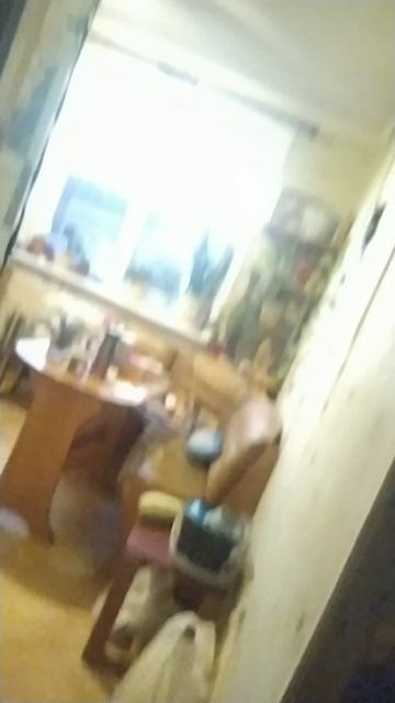 СКИБИДИ ТУАЛЕТЫ В РЕАЛЬНОЙ ЖИЗНИ 5 ЧАСТЬ