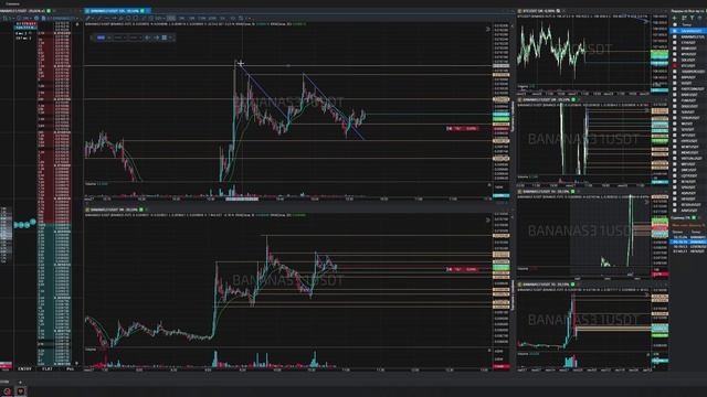 28-Bananas31usdt-Long-Profit-27-06-2025-10-49-41
