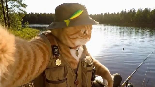 Услуги по обслуживанию и поддержке рыбаков!