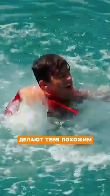 Что делать, если на вас плывет акула? 🦈