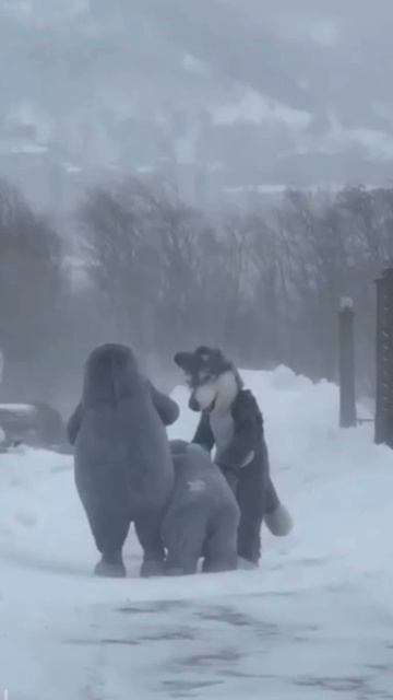 И так бывает )