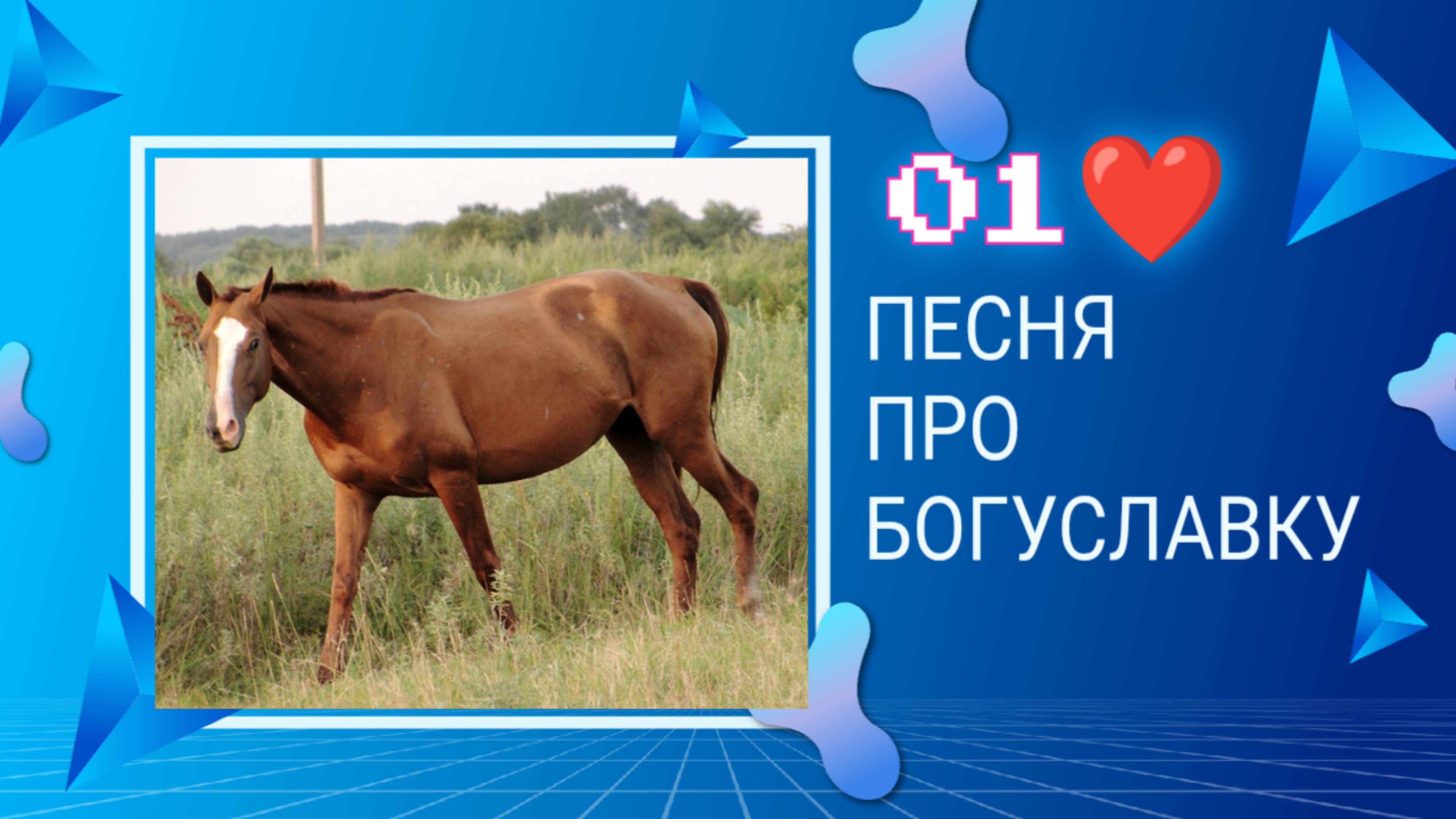 Богуславский табун / песня про лошадей