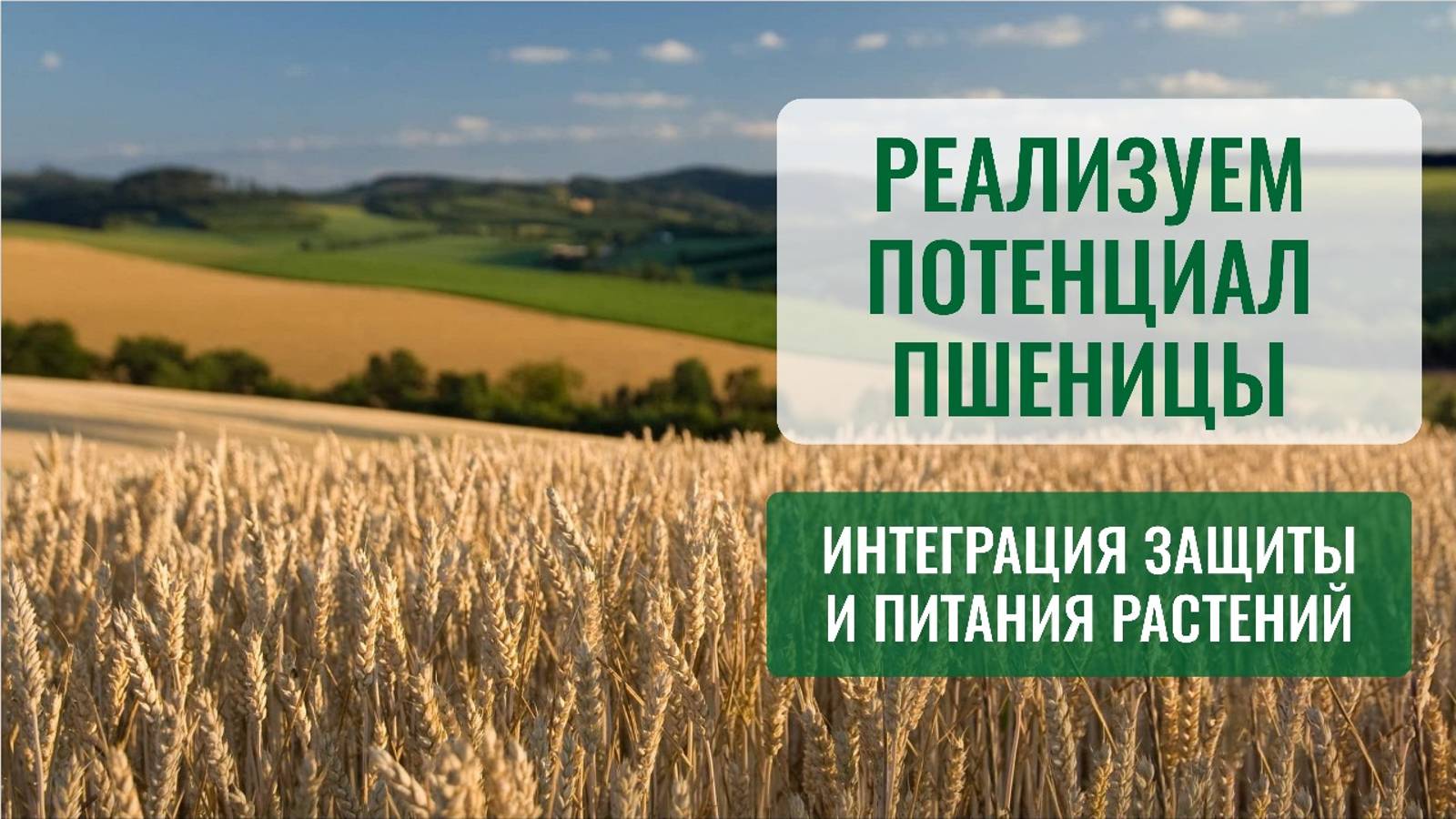 Интегрированная система защиты озимой пшеницы от НВП "Башинком "