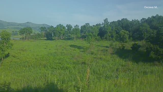 Еду В Андреевку к Японскому морю