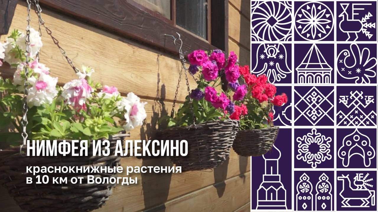 Вологжанка променяла город на деревню и ведет блог про садоводство