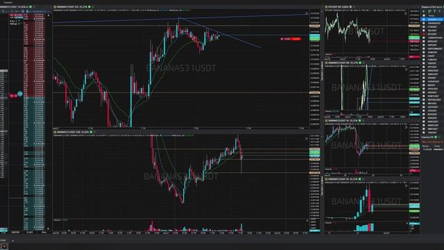 65-Bananas31usdt-Short-Stoploss-27-06-2025-17-31-57