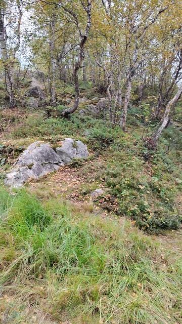 Мурманск, сопки, дальняя Первомайка 28-08-2022