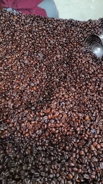 Самый дорогой Кофе покакал Слон. Экскурсия в Далат, Нячанг.Вьетнам за 72 тысячи ₽ @tutsi-dieti