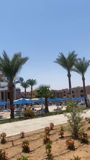 Albatros Aqua Vista; Albatros Aqua Blu Hurghada;
Albatros Aqua Park Hurghada