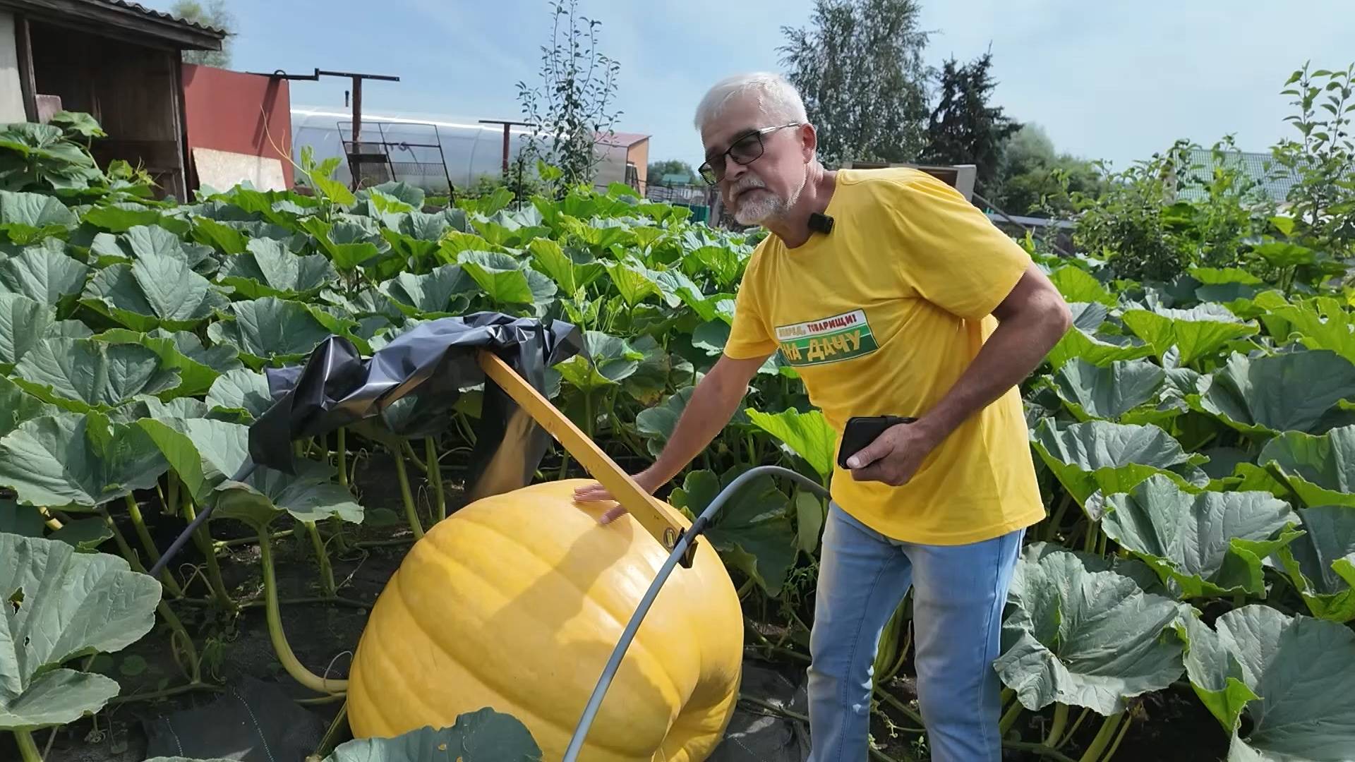 Вперёд, товарищи! На дачу! Выпуск от 29.07.25