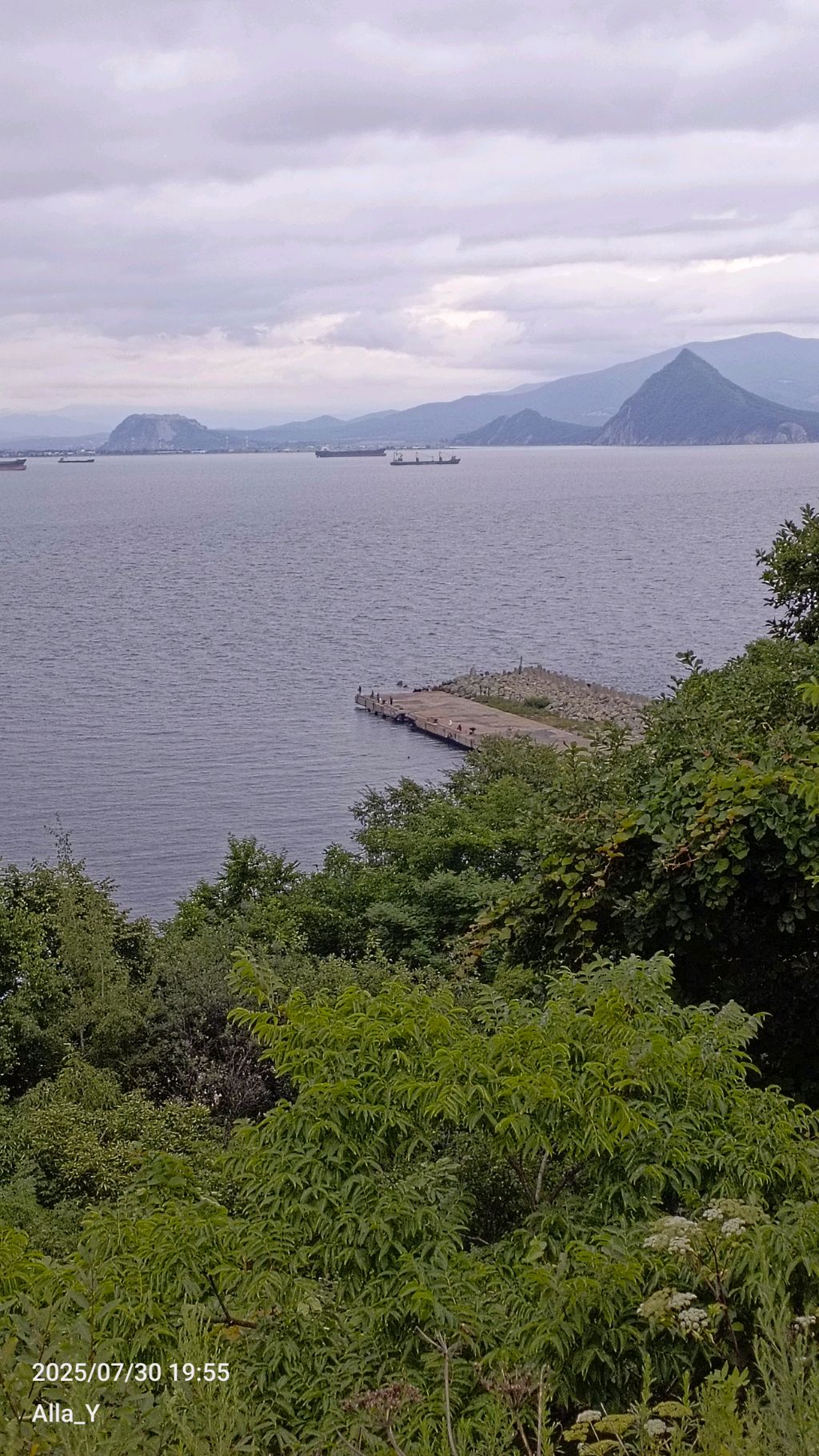 Мыс Шведова, Находка