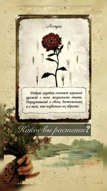 Гадание «Какое вы растение?»