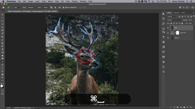 6. Masking and Preparing the Stag, and Making Him Glow