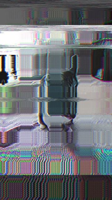 САМОЕ СТРАШНОЕ ВИДЕО ПРО БУСЮ... НЕ ФЕЙК