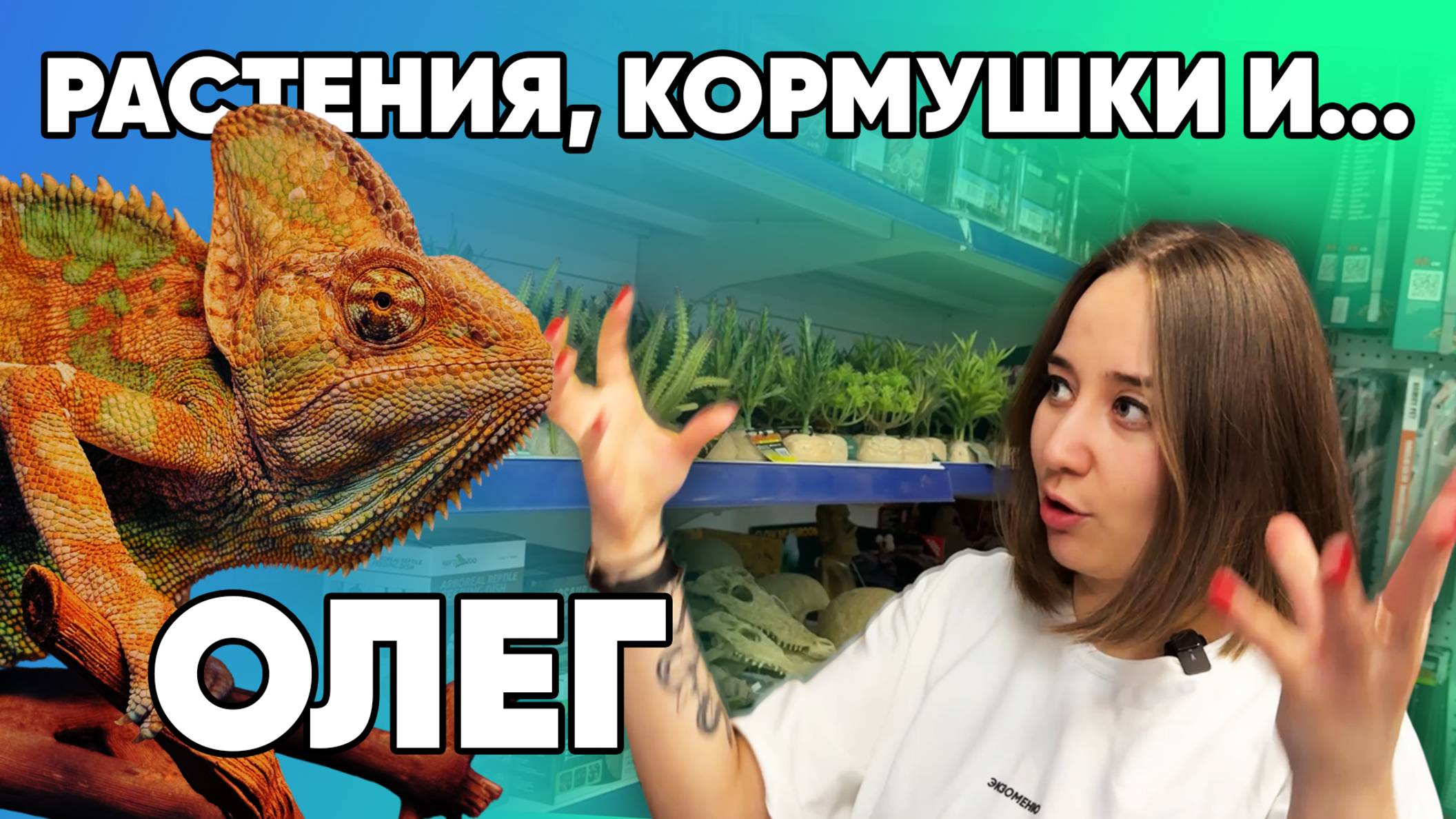 Террариумные новости ЭКЗОМЕНЮ (30.07.2025). Растения, кормушки и ОЛЕГ.