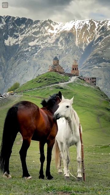 Казбеги, Грузия #природа Стиль 🔥 Лайк/подписка!