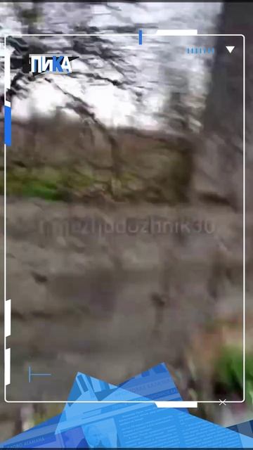 Ангел-хранитель в деле