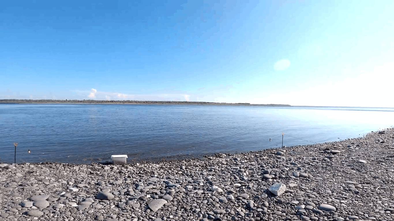 Рыбалка на сига, ловля на закидушки в конце июля.