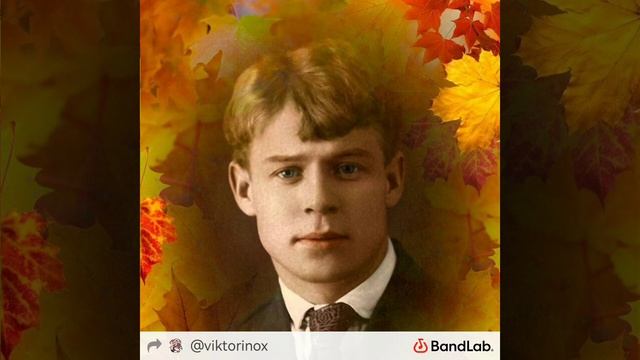 ESENIN (The hobble sleeps) - DJ Vik