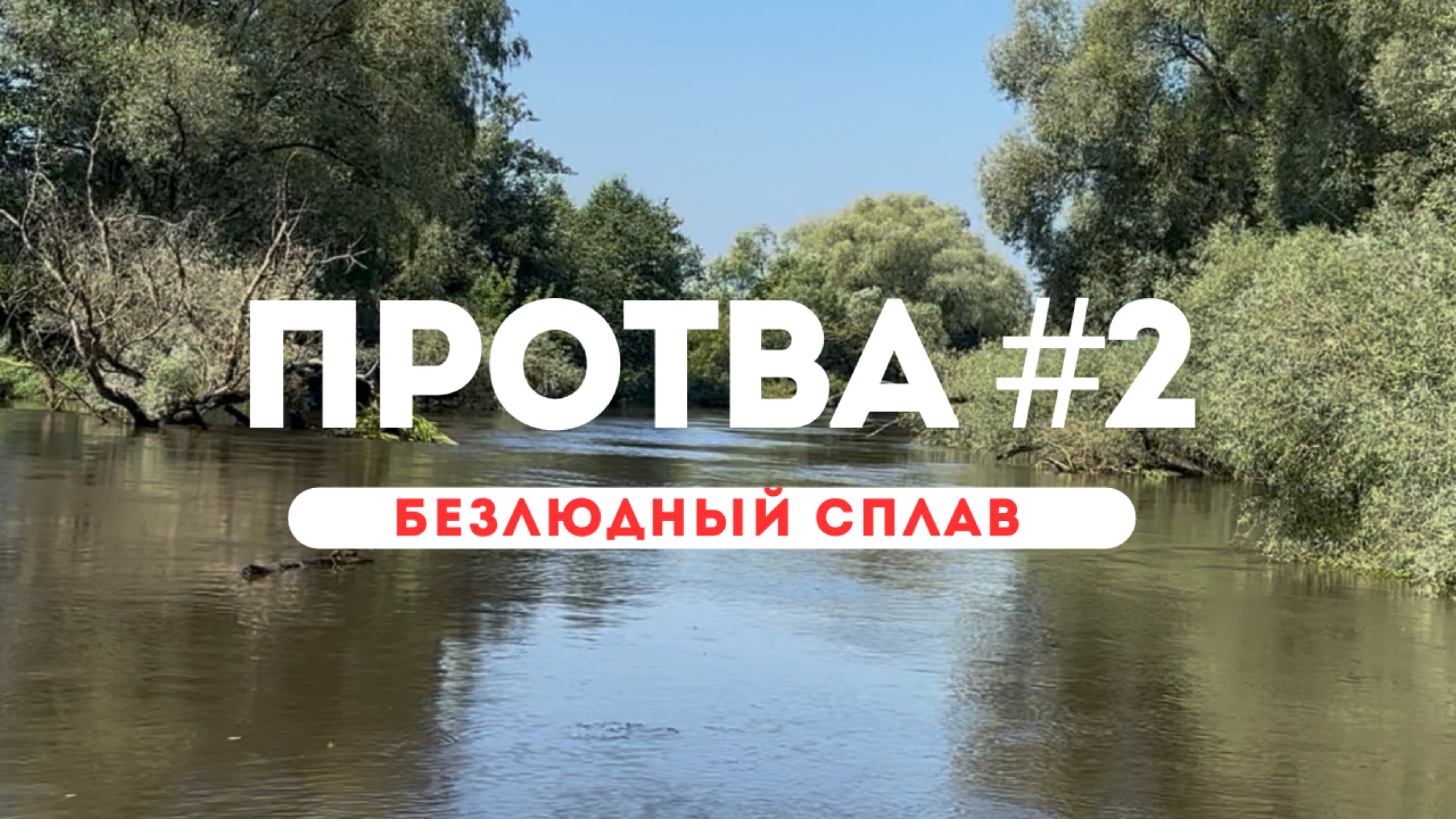 🌲 Сплав по Протве: тишина, сосны и цапли