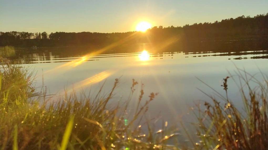 НИ ПРИ КАКИХ ОБСТОЯТЕЛЬСТВАХ. Какие низковибрационные цивилизации не способны обрести Божественность