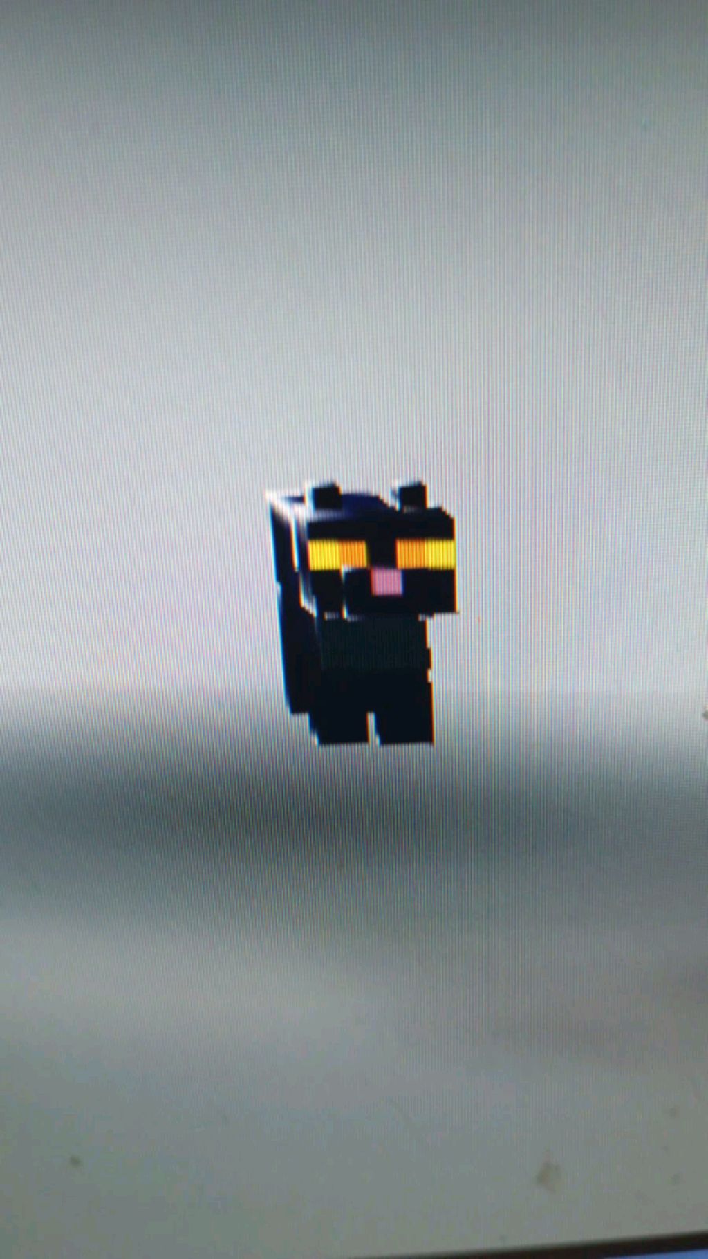 Роблокс с Вероникой